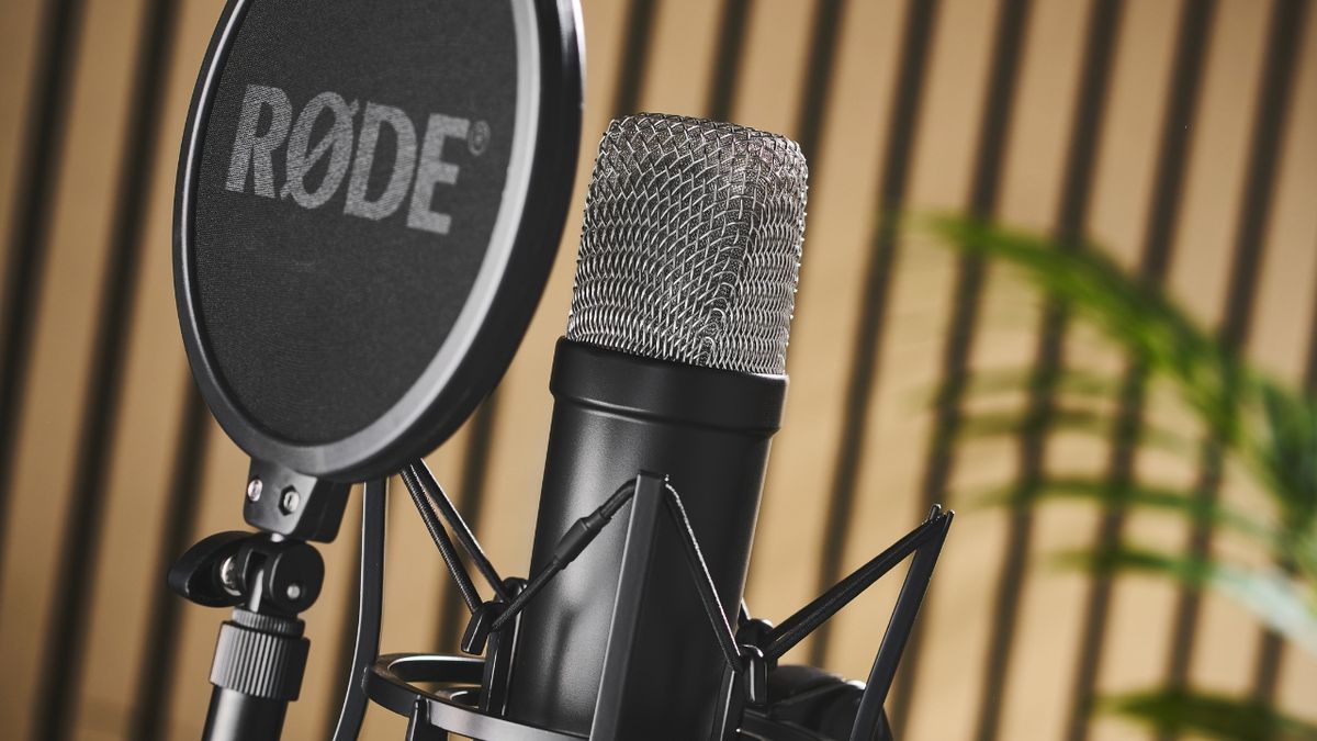 8 Best Pop Shields For Piano Vocals In 2025: Enhance Your Recording ...